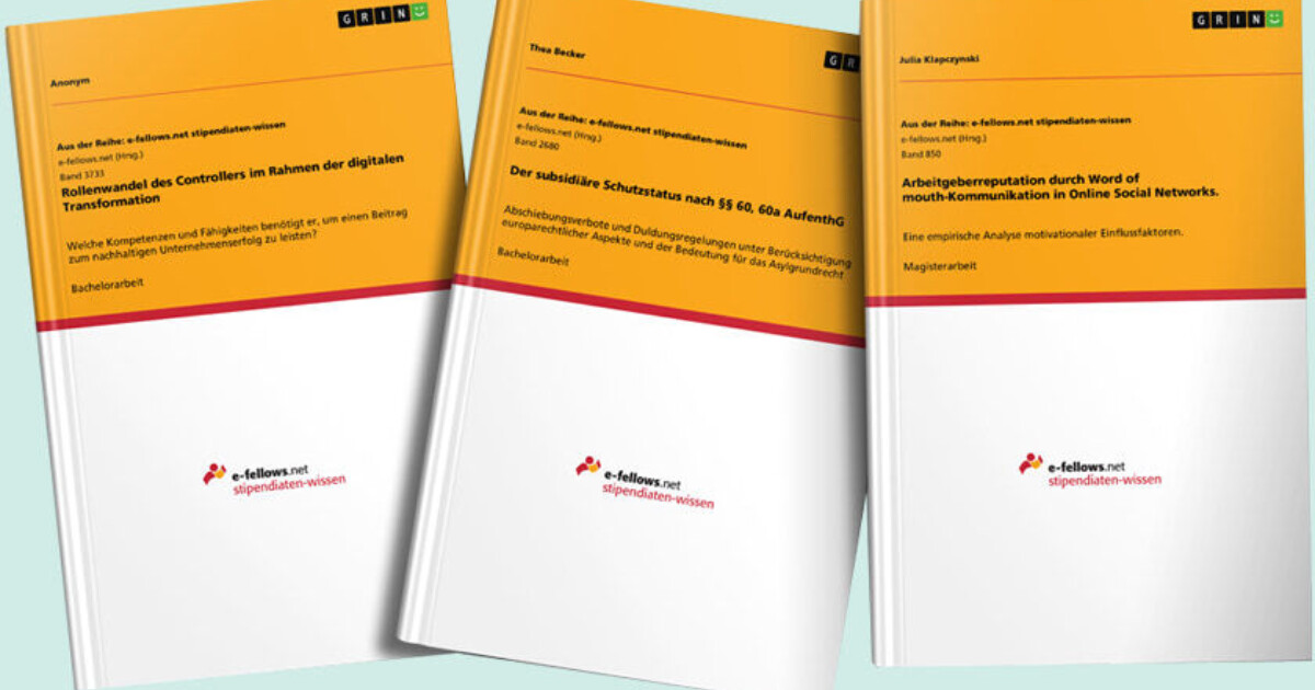 Bestseller der e-fellows.net-GRIN-Reihe - e-fellows.net