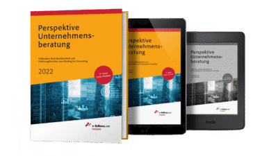 Karrierewege in der Strategieberatung - e-fellows.net