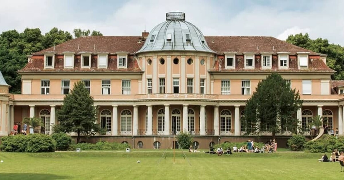 BSP Business and Law School - Studiengänge - e-fellows.net