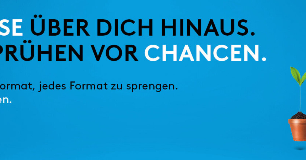 zeb: Karriere & Einstieg - e-fellows.net