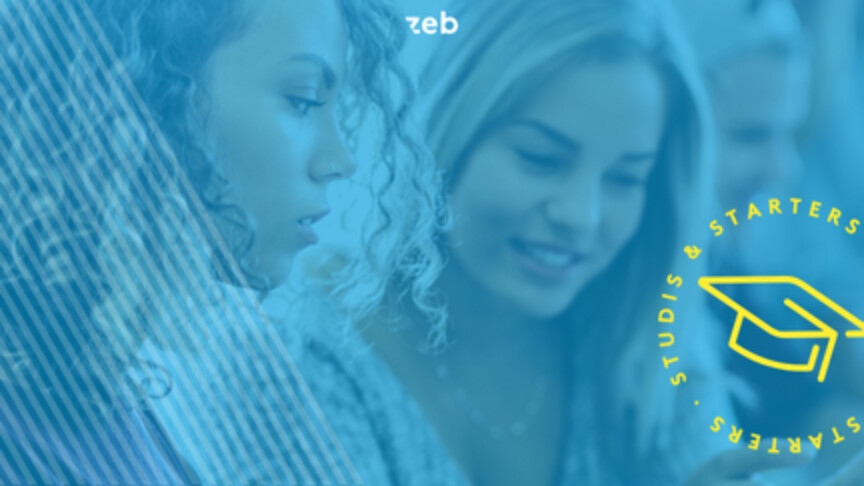 zeb: Karriere & Einstieg - e-fellows.net