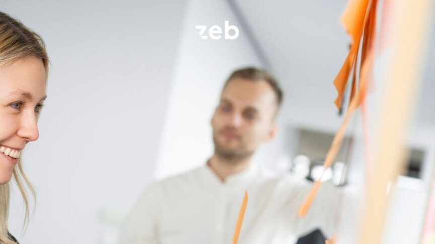 zeb: Karriere & Einstieg - e-fellows.net